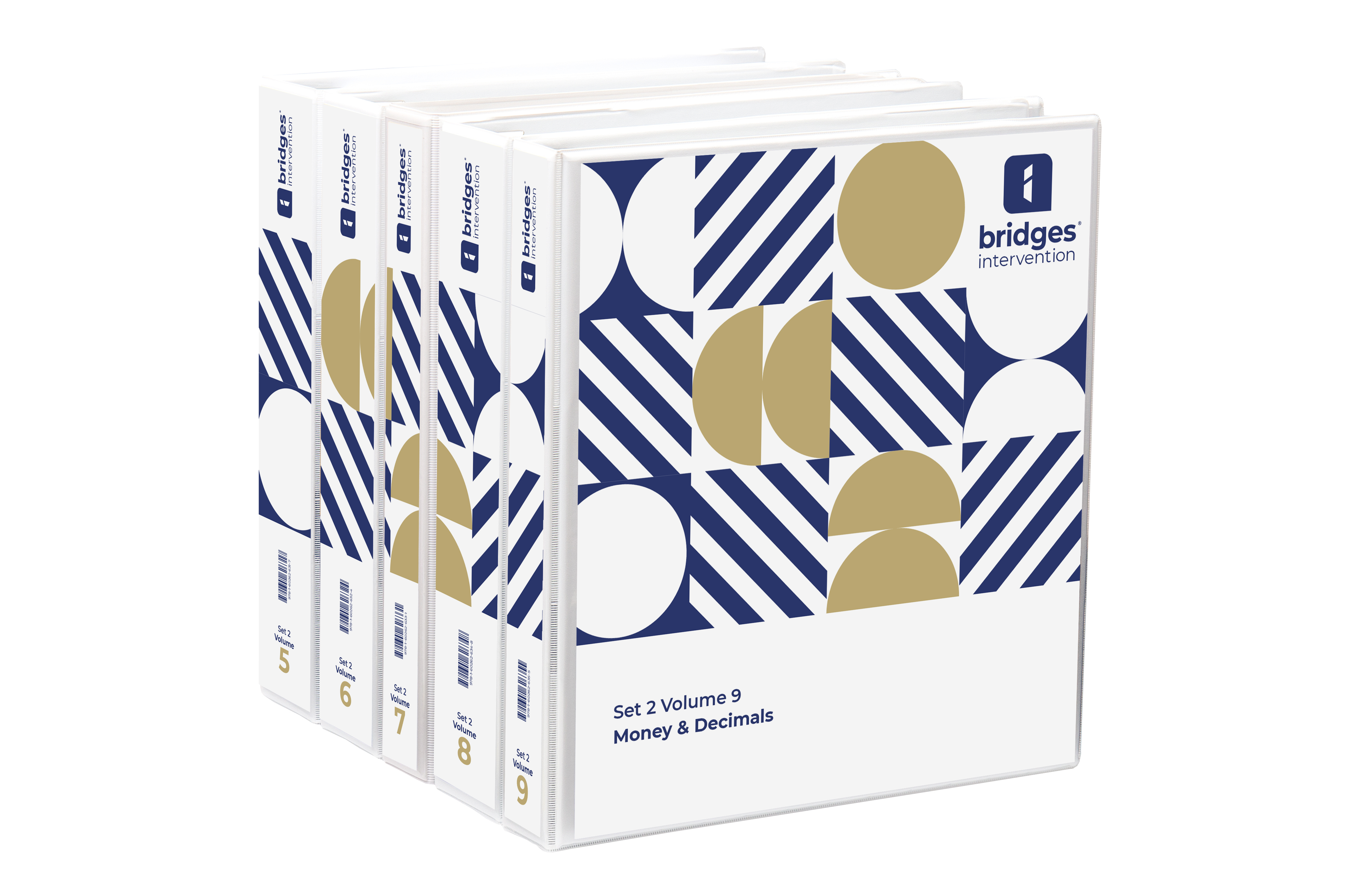 Bridges Intervention Set 2 Teachers Guides